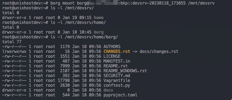 Borg Backup - подробное руководство - UnixHost Blog